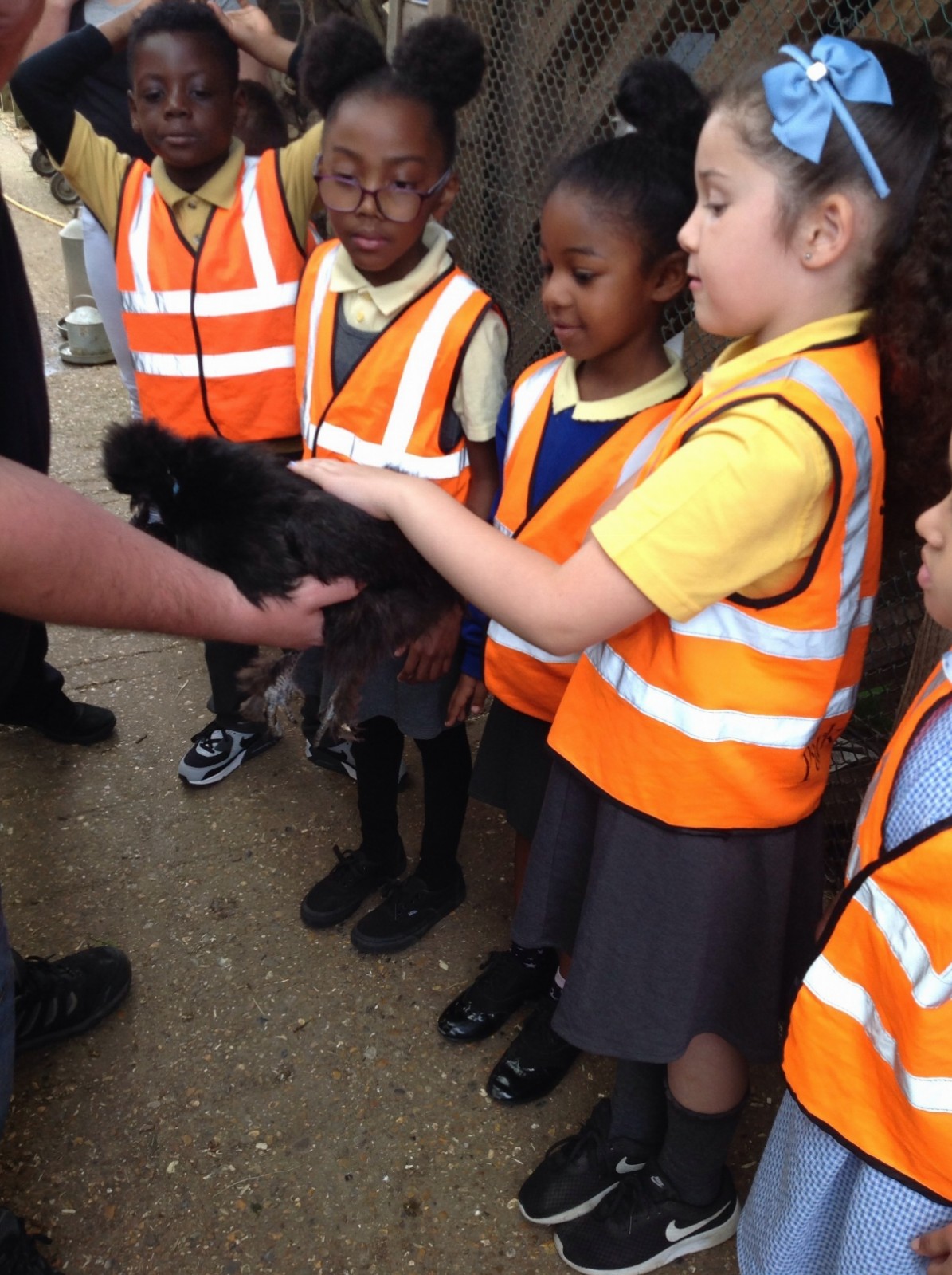 Our trip to Freightliners Farm - St Mark's C of E Primary School