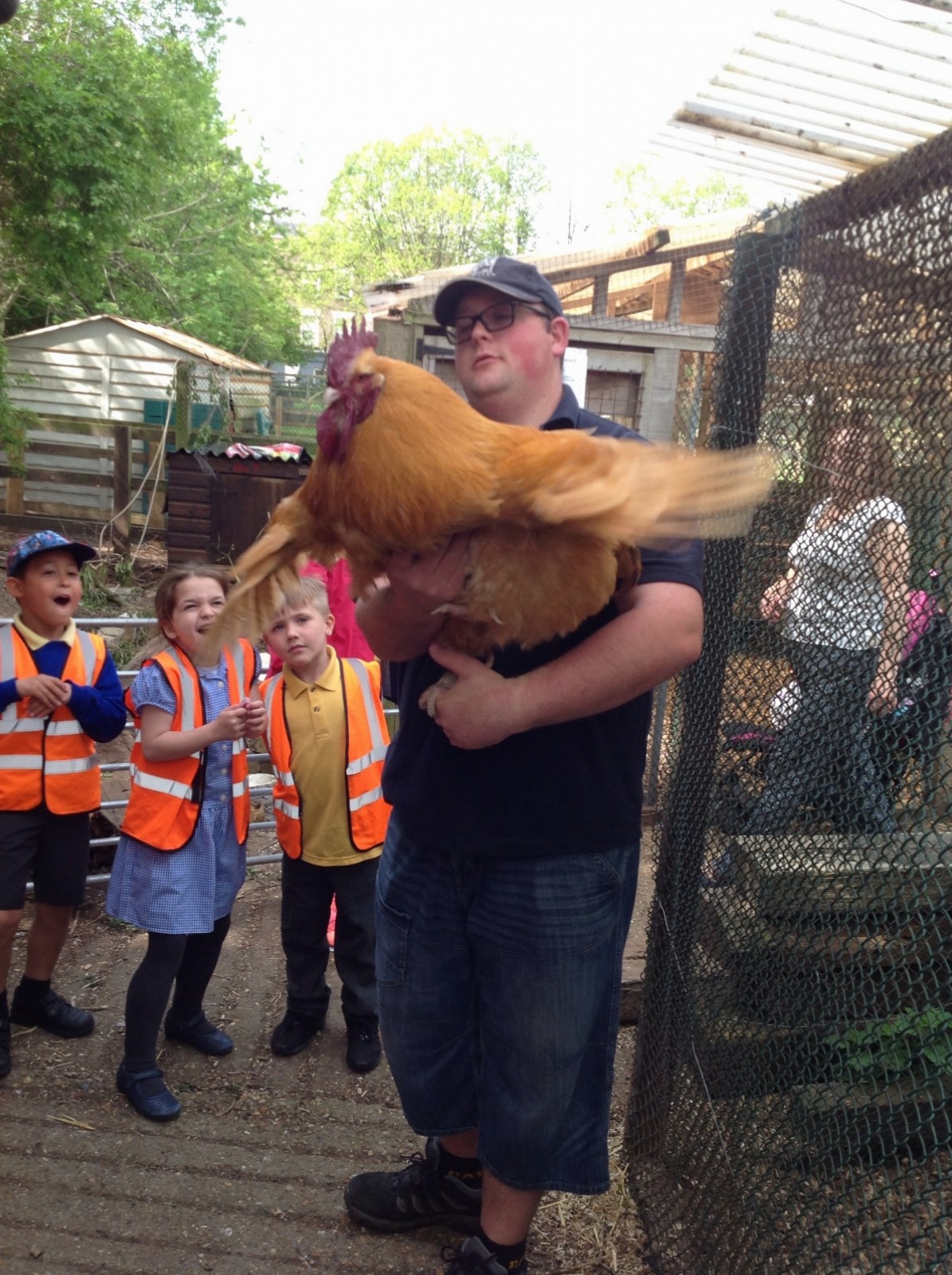 Our trip to Freightliners Farm - St Mark's C of E Primary School