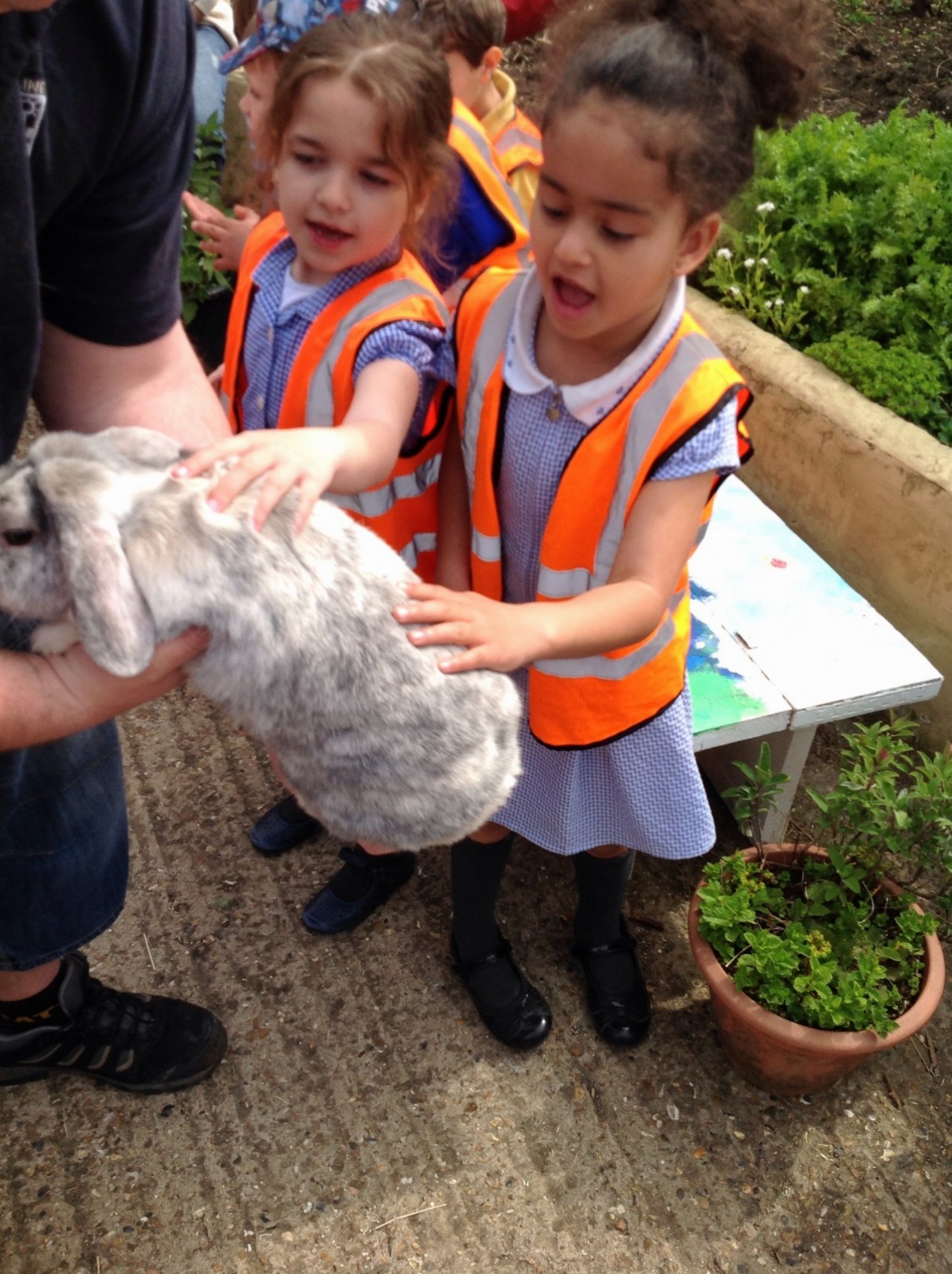 Our trip to Freightliners Farm - St Mark's C of E Primary School