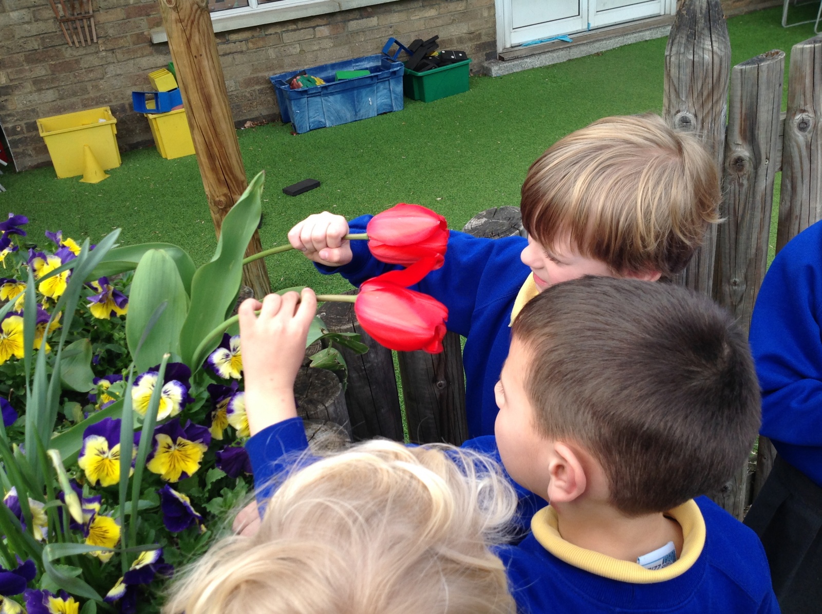 What signs of Spring can you see? - St Mark's C of E Primary School