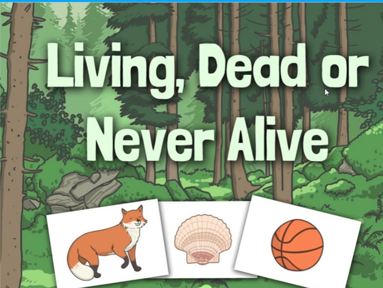 Science Blog: Living, Dead or never alive - St Mark's C of E Primary School