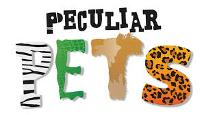 Peculiar Pets Poetry Competition - St Mark's C of E Primary School