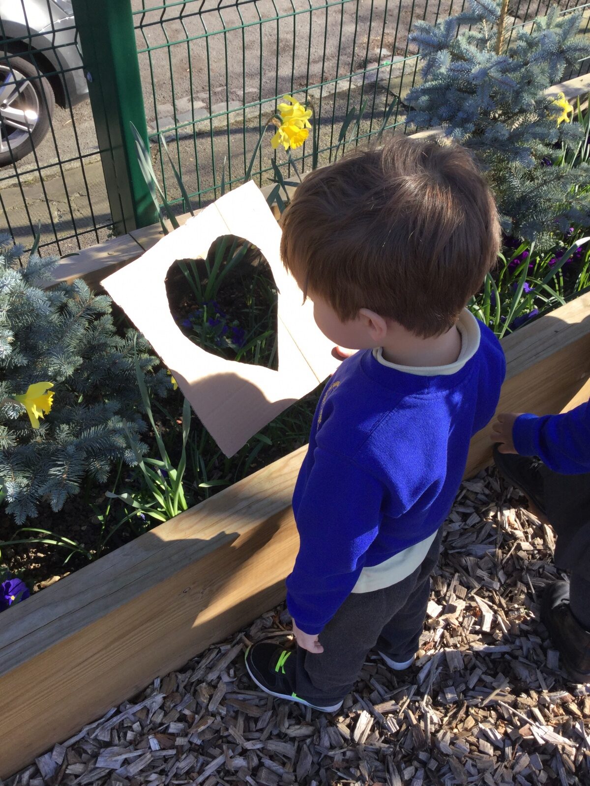 Nature Art Frames - St Mark's C of E Primary School