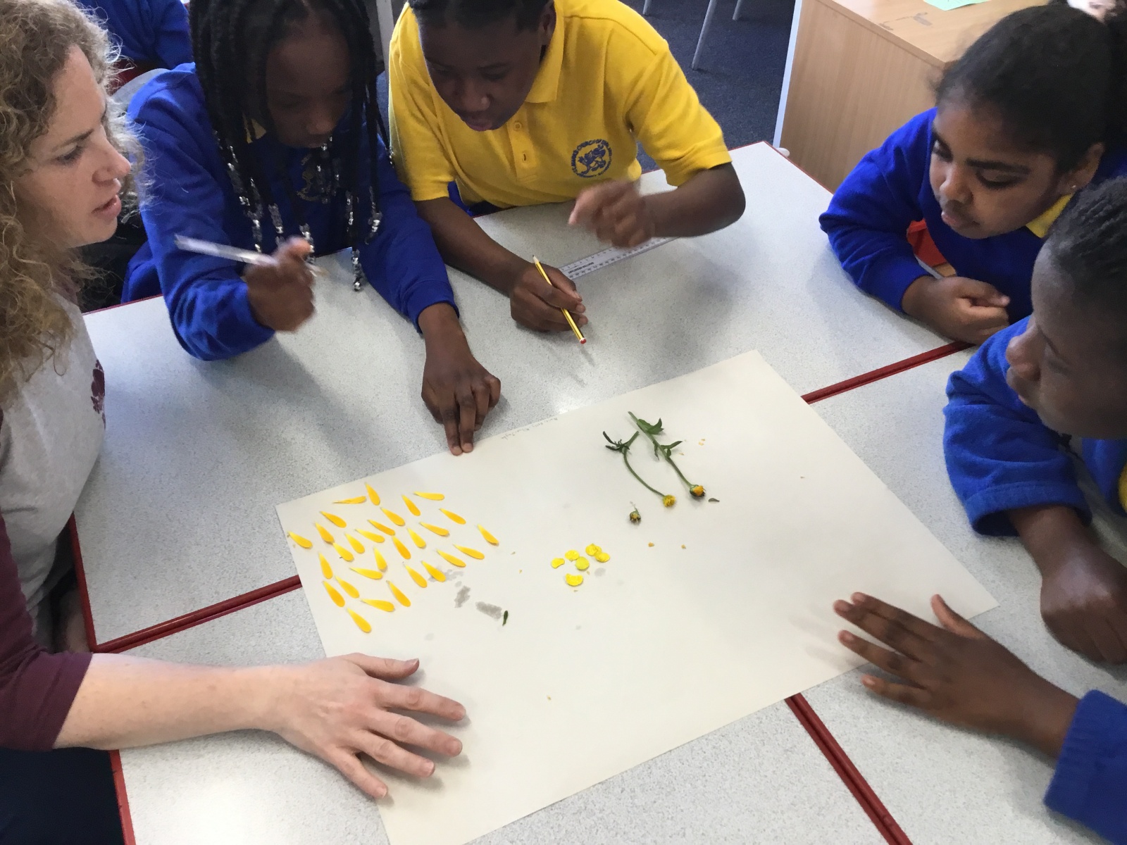 Spuds for everyone! - St Mark's C of E Primary School