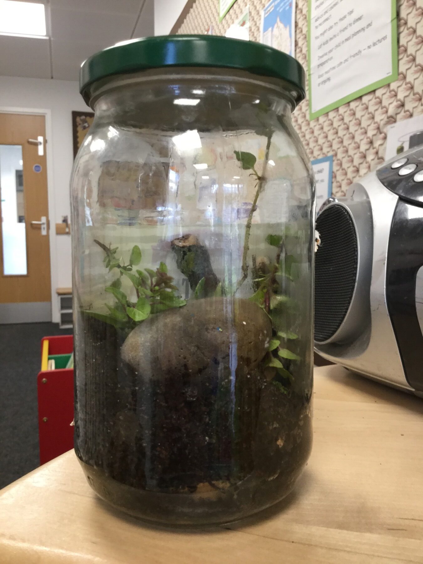 Science week... Gardening - St Mark's C of E Primary School