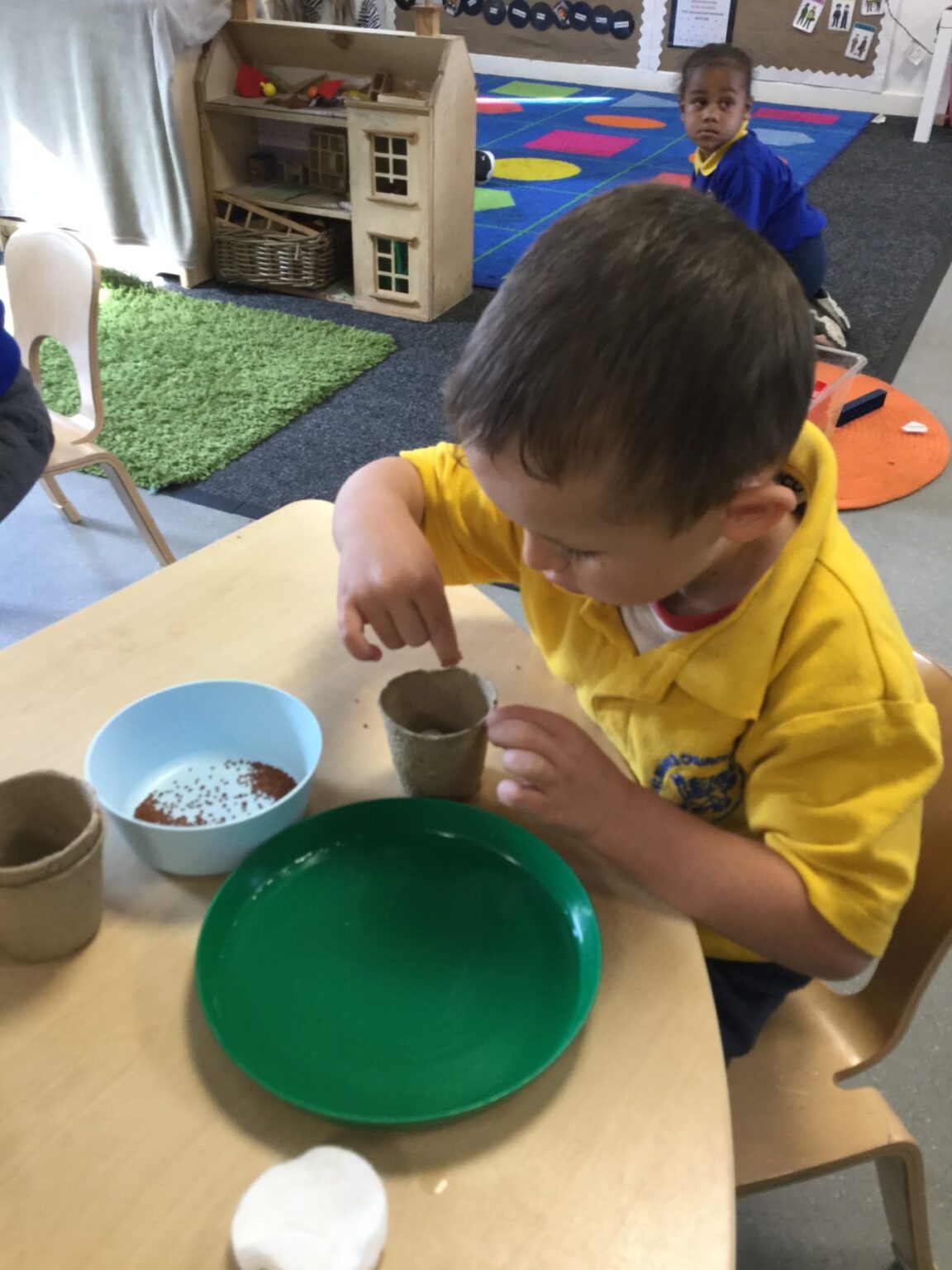 Planting and growing Cress - St Mark's C of E Primary School