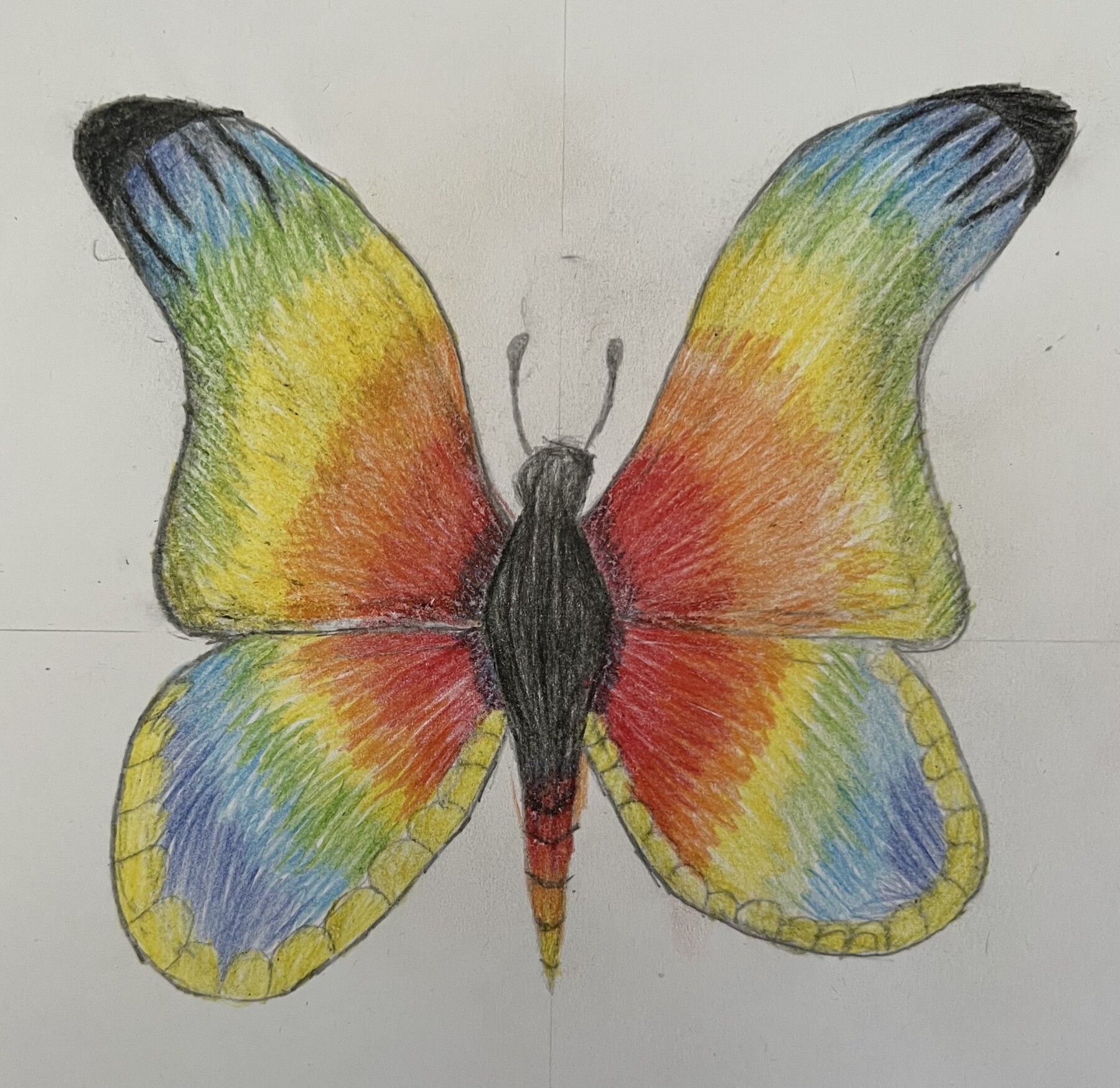 STEAM Week Butterfly Competition - St Mark's C of E Primary School