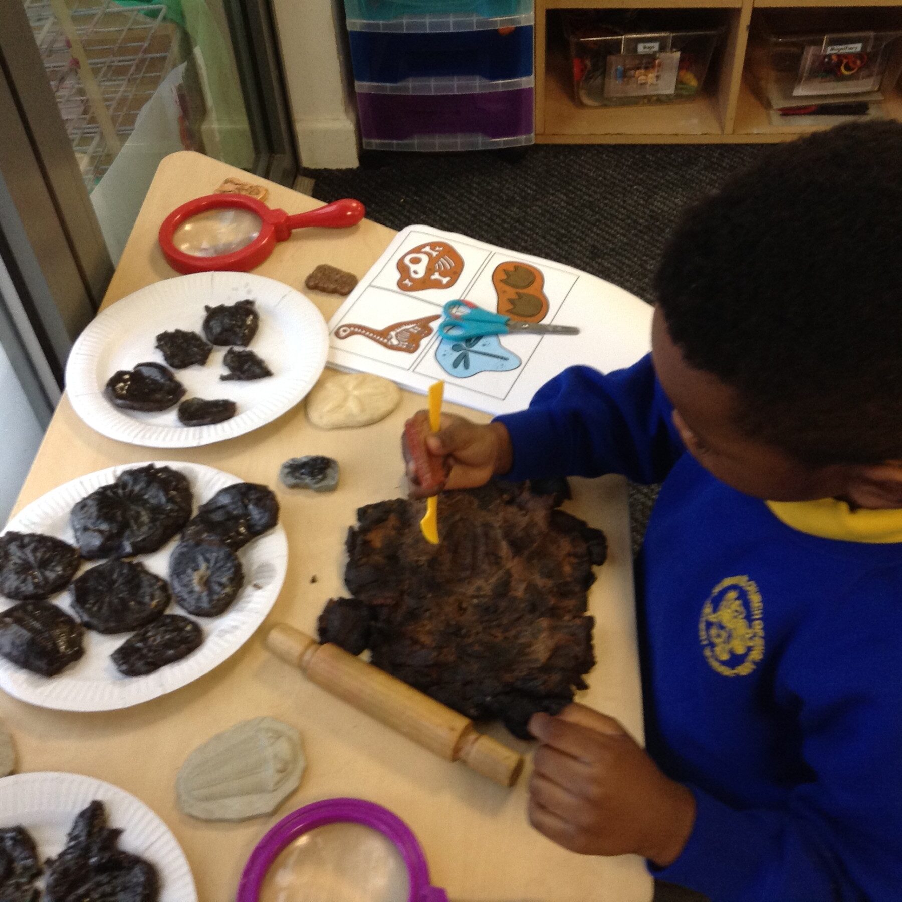 Fossils - St Mark's C of E Primary School