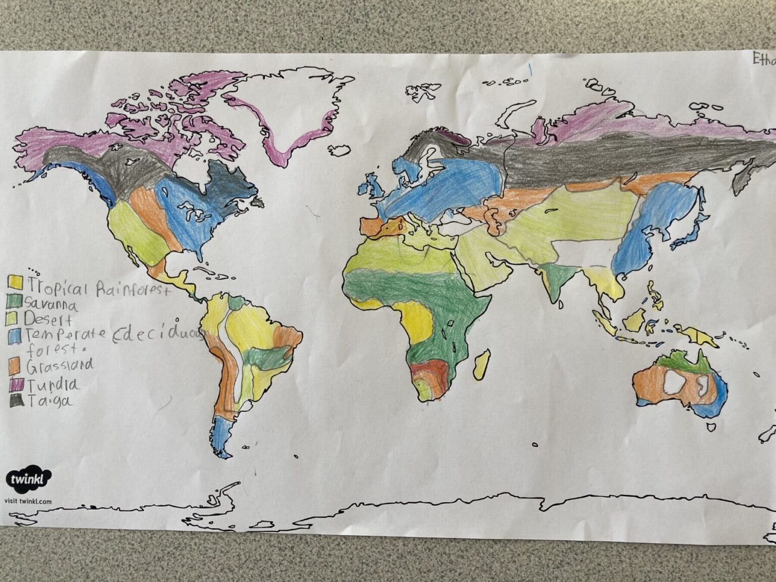 Biomes - St Mark's C of E Primary School