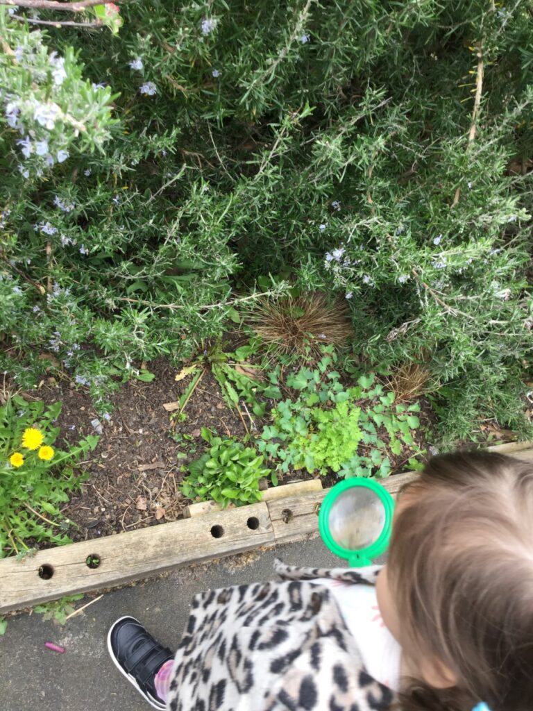 Nature Detectives - St Mark's C of E Primary School