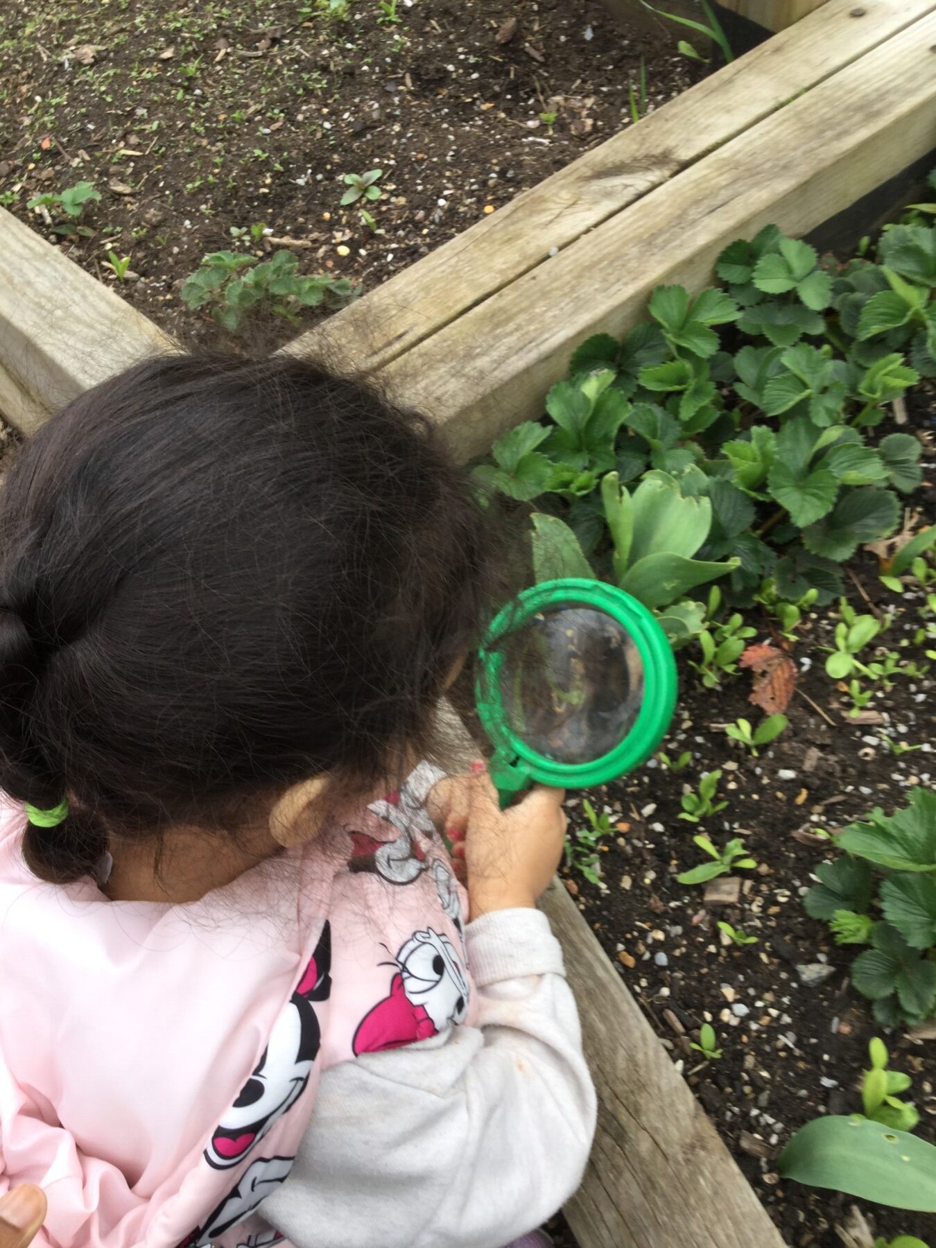 Nature Detectives - St Mark's C of E Primary School