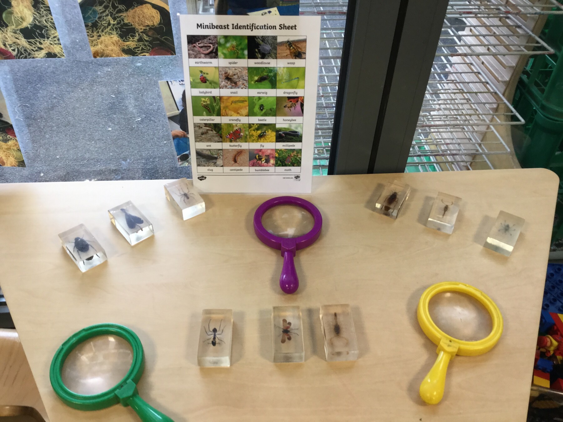 Nature Detectives - St Mark's C of E Primary School