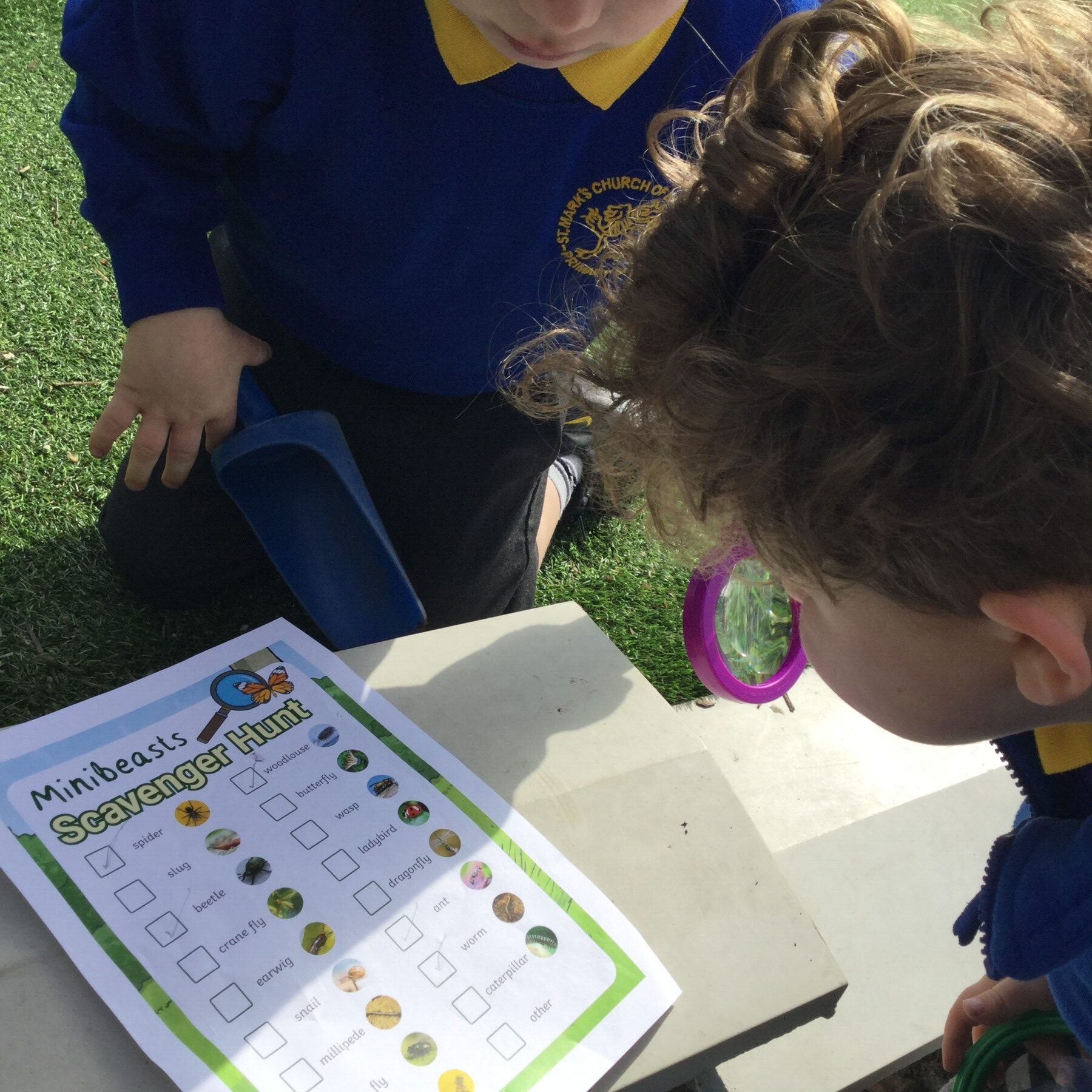 Going on a bug hunt - St Mark's C of E Primary School