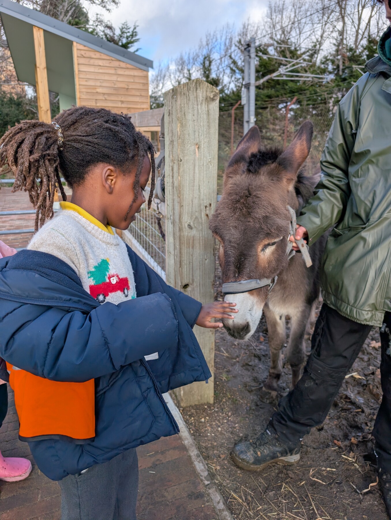 Daisy Class at Kentish Town City Farm - St Mark's C of E Primary School